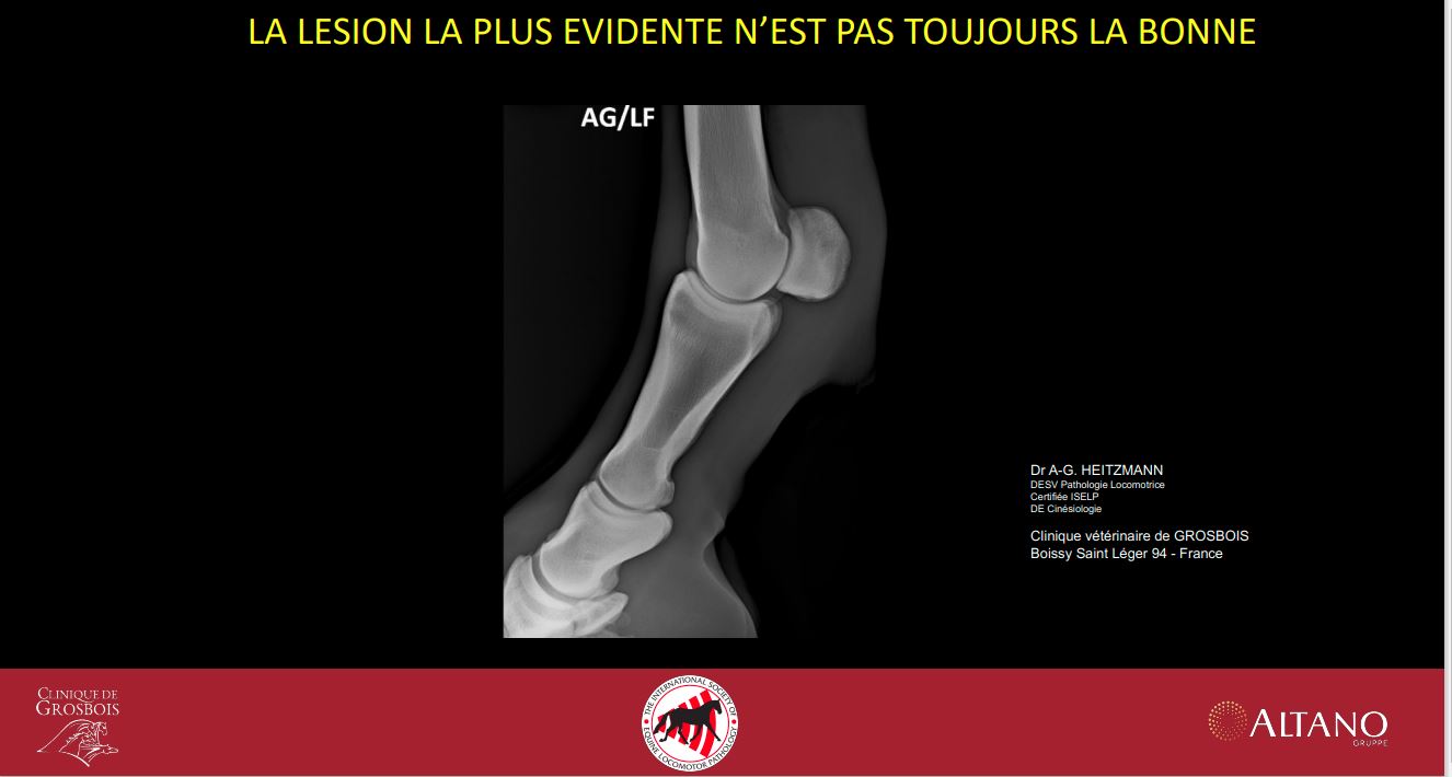Boiterie de boulet : attention aux apparences ! - AVEF