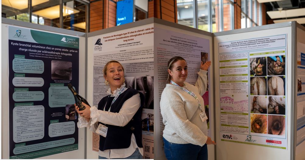 JA 2025 : coup de projecteur sur les posters ! - AVEF